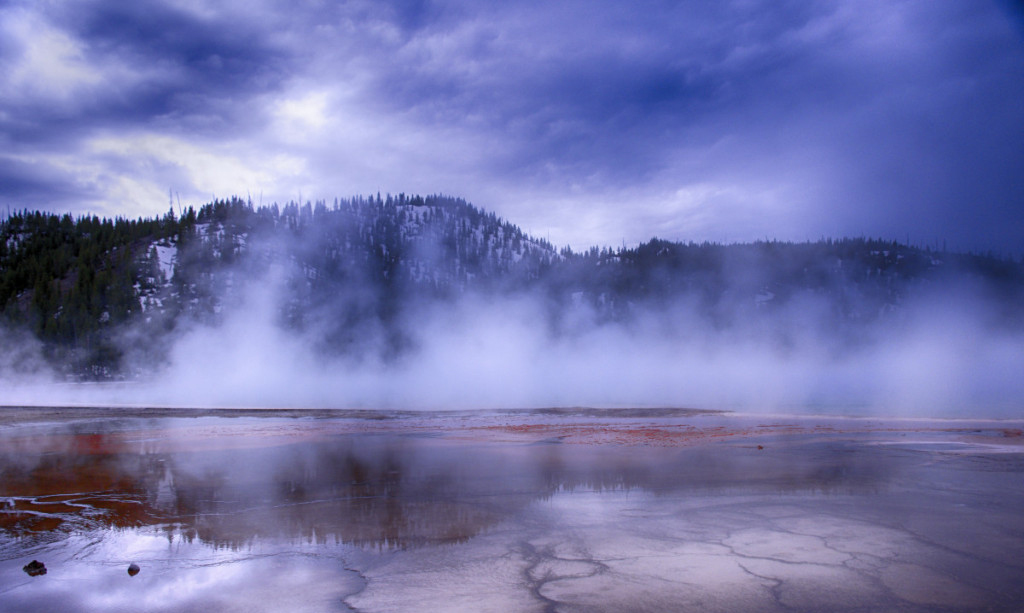 Peter Curcio - Group 37 - PSA Digital Dialogue