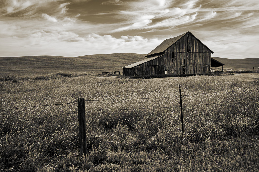 Alan Kiecker - Group 49 - PSA Digital Dialogue